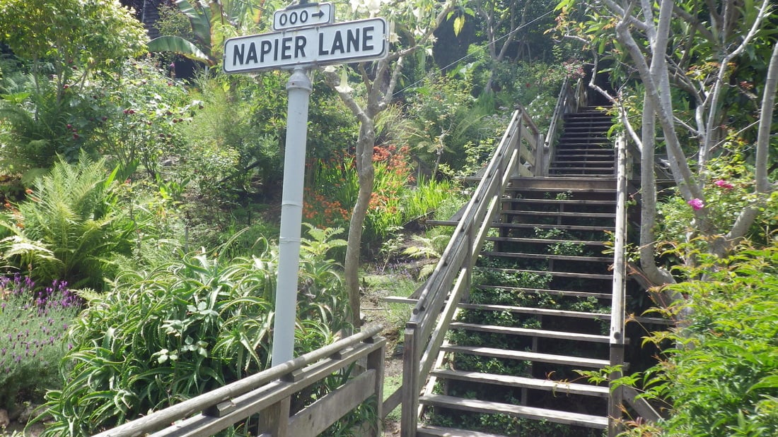 Napier Lane • 金牌资讯网