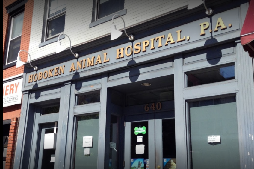 Hoboken Animal Hospital PA 宾夕法尼亚州霍博肯动物医院 201-963-3604 • 金牌资讯网